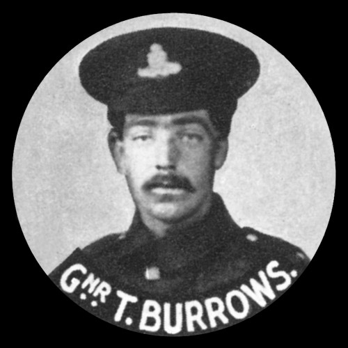 Gunner Thomas Burrows | Rutland Remembers